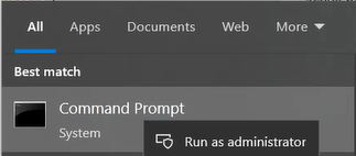Topic: How to force the Windows 10 ESU @ AskWoody